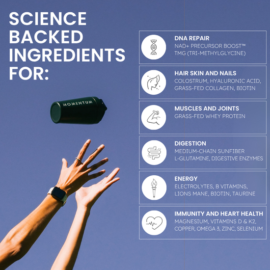 Momentum – Momentum Shake